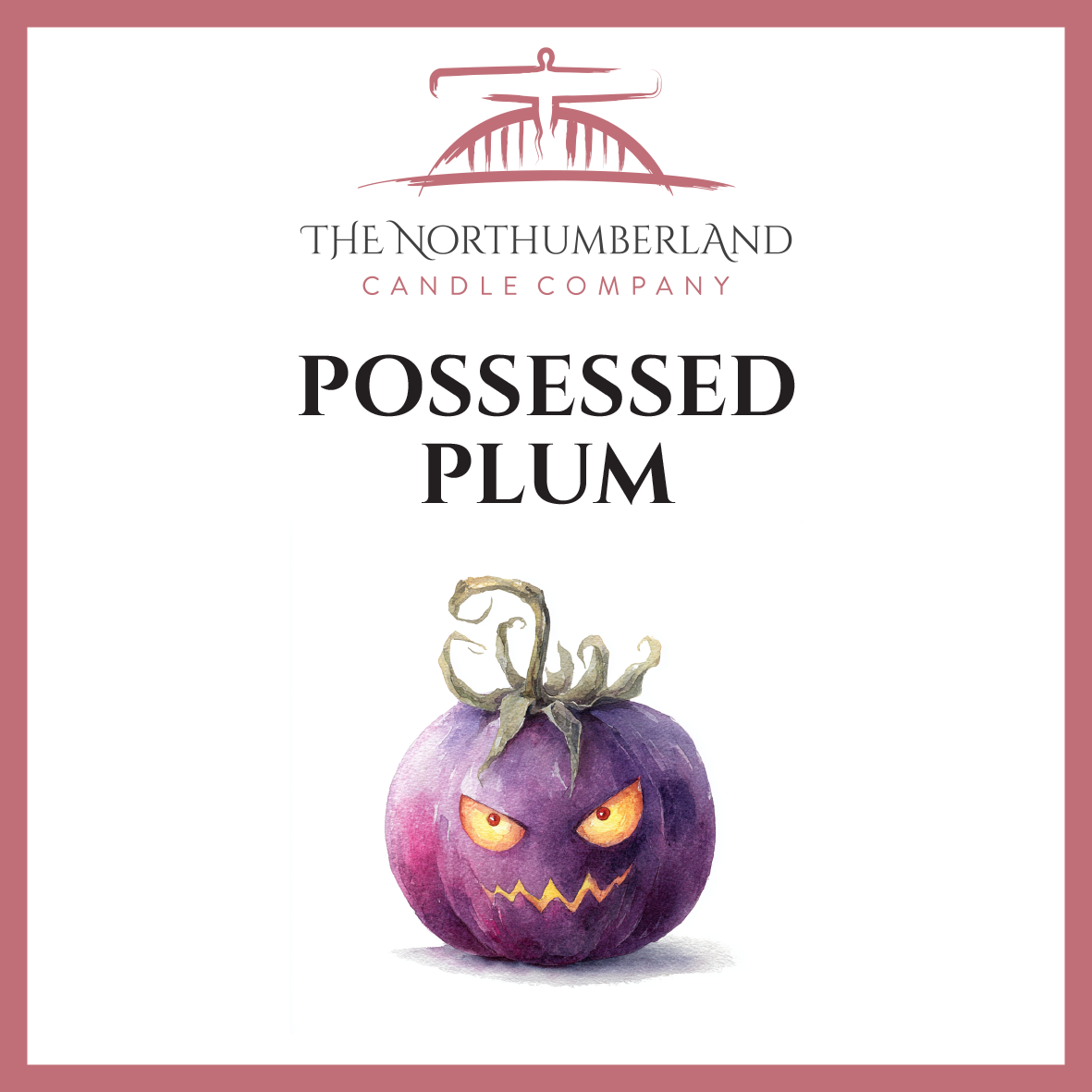 Possesed Plum – TheNorthumberlandCandleCompany